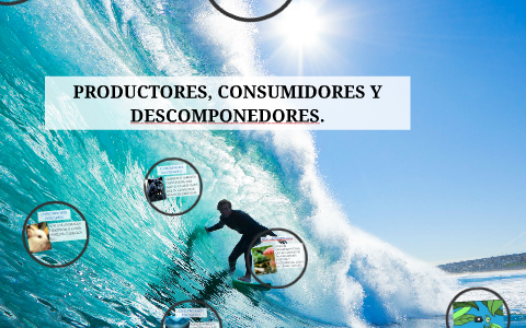 PRODUCTORES, CONSUMIDORES Y DESCOMPONEDORES. by Jennifer Andrea on Prezi