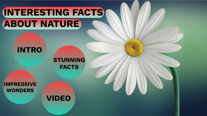 Interesting facts about nature by Daniel Murad on Prezi