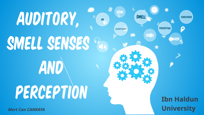 Auditory, Smell Senses and Perception by MERT CAN CANKAYA on Prezi