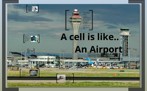 Cell Simile Project by Jake Schanfarber on Prezi