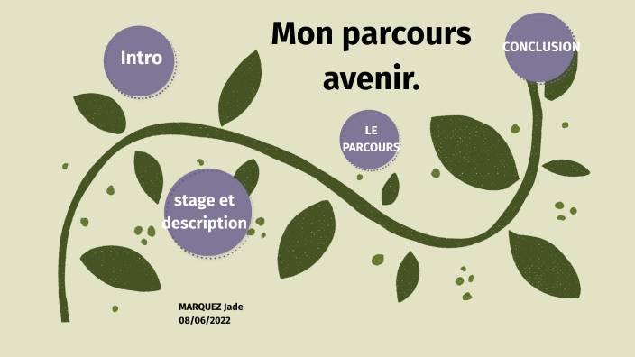 Mon parcours avenir by Fr0g p0g on Prezi