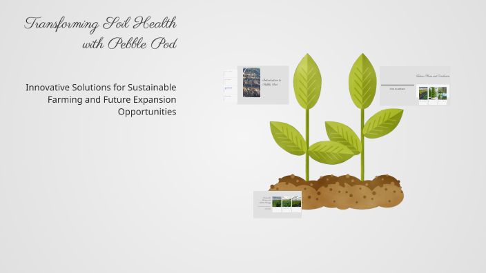 Transforming Soil Health with Pebble Pod by Ishan Jakhotiya on Prezi