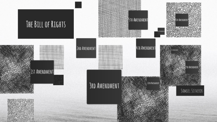 bill of rights by samuel Sisneros on Prezi