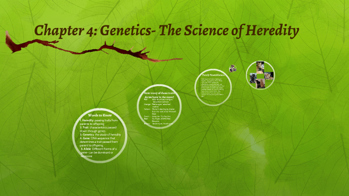 Chapter 4: Genetics- The Science of Heredity by Caitlyn Wyand on Prezi