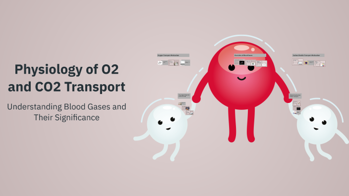 Physiology of O2 and CO2 Transport by Mohamed Hashish on Prezi