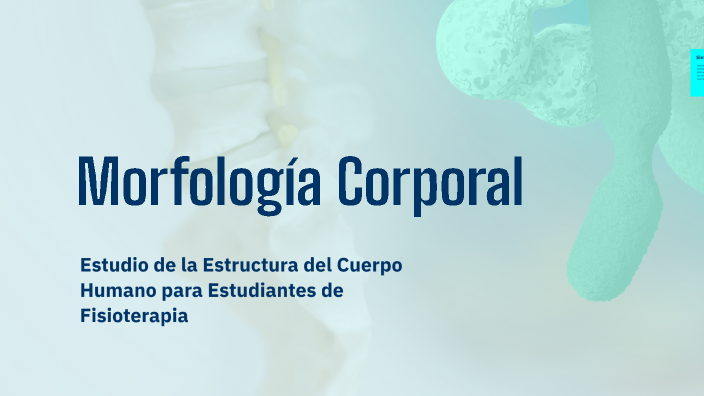 Morfología Corporal by MARTIN LUJAN on Prezi