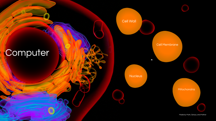 Cell Analogy Project (Similarities Between Cells and Computer) by Mark ...