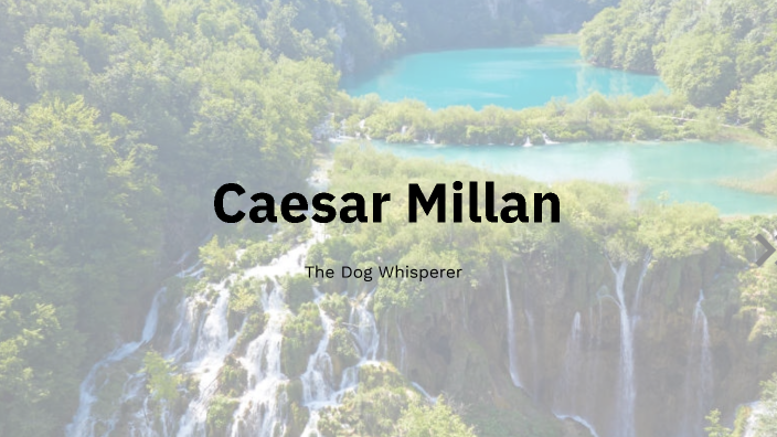 Caesar Millan by Zsófi Városi on Prezi