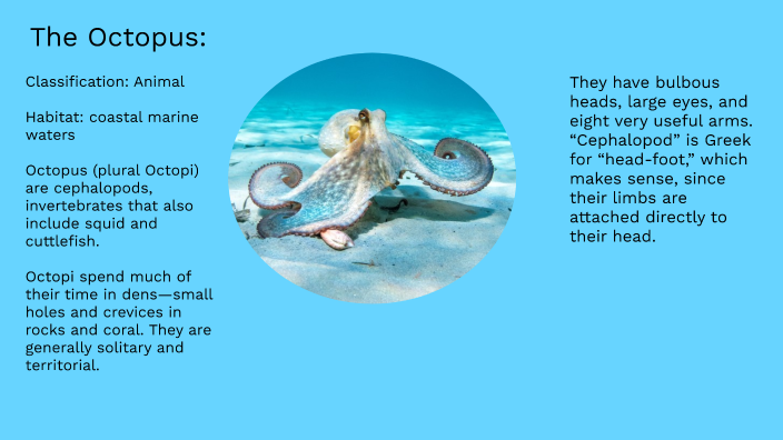 Octopus microscope by Lisa D on Prezi