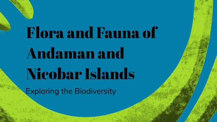 Flora and Fauna of Andaman and Nicobar Islands by Bhavin Bhardwaj on Prezi