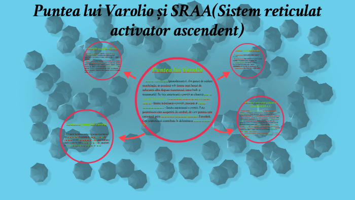 Puntea lui Varolio si SRAA(Sistem reticulat activator ascend by Oancea ...