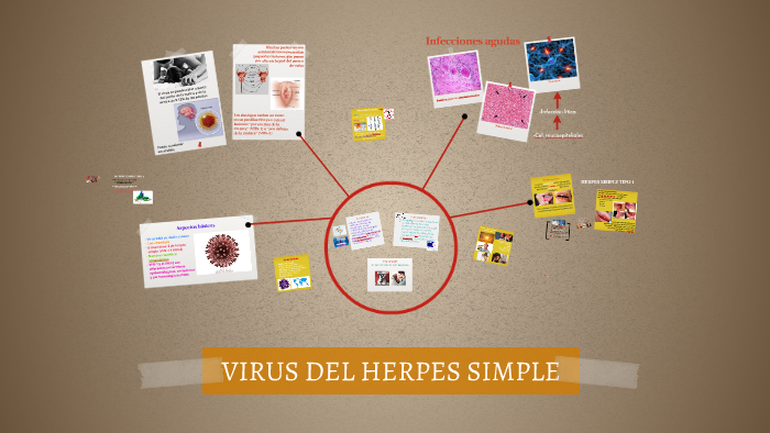 VIRUS DEL HERPES SIMPLE by Sarai Velarde on Prezi