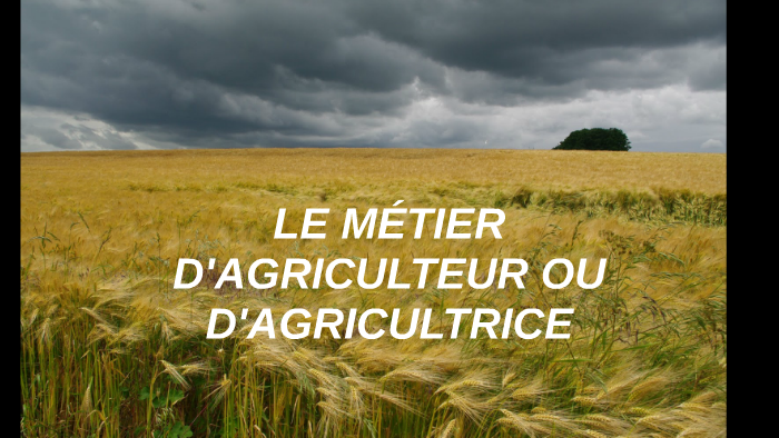 Le métier de fermier by Jasmin Bureau on Prezi