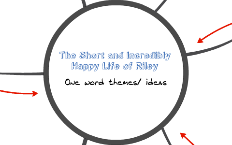 The short and incredibly happy life of Riley by Michelle Carrington on ...