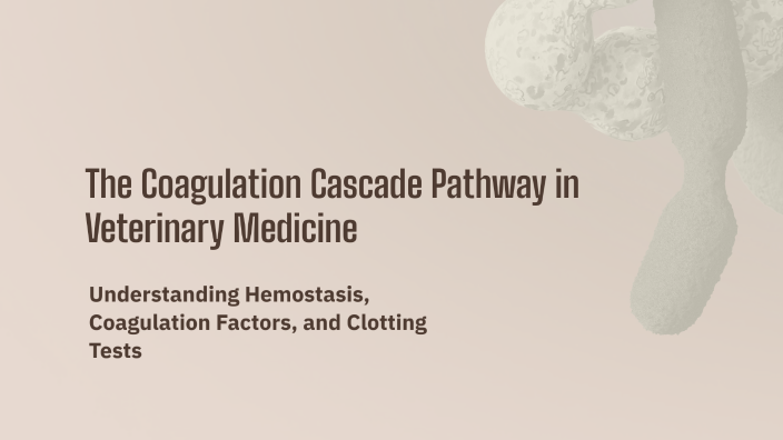 Understanding the Coagulation Cascade in Veterinary Medicine by Brannon ...