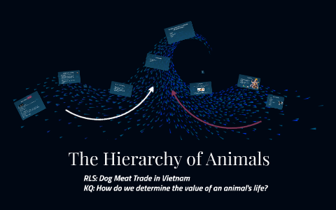 The Hierarchy of Animals by Tala Alexander on Prezi