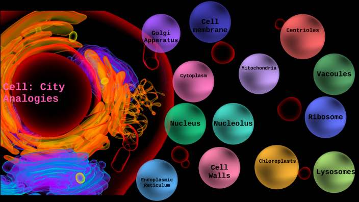 Cell Parts Analogies by Sadie Blum on Prezi