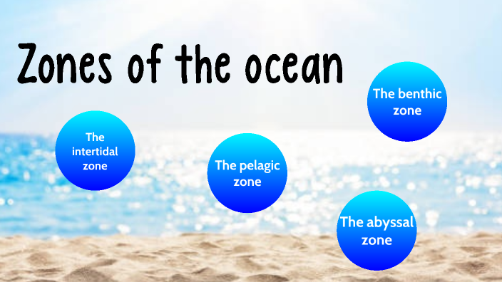 Zones of the ocean by Cheetah 魏啟德 on Prezi