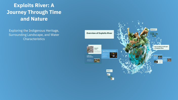 Exploits River: A Journey Through Time and Nature by SJ - 08WD 832507 ...