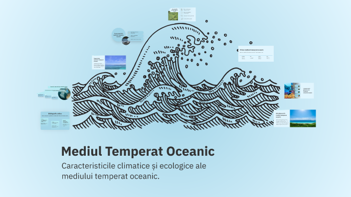 Mediul Temperat Oceanic by i decibel on Prezi