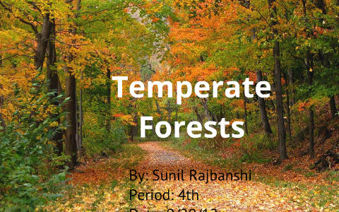 AP Biology Biome Project- Temperate Forest by Sunil Rajbanshi on Prezi