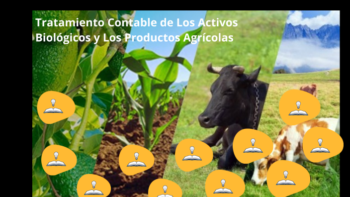 Activos Biologicos by MARJORIE SOFIA PILLAJO SANCHEZ on Prezi