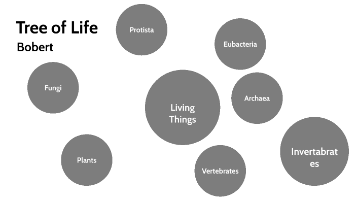 Tree of life - Cerny by Robert Cerny on Prezi