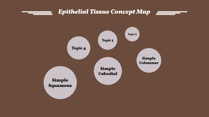 Epithelial Tissue Concept Map by Shania Pycior on Prezi