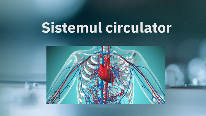 Sistemul circulator by sabina canae on Prezi