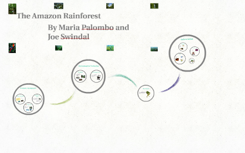 The Amazon Rainforest by Joe Swindal on Prezi