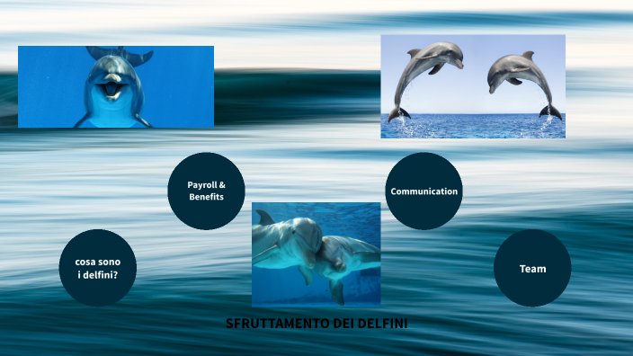 sfruttamento dei delfini by Pietro Majolino on Prezi