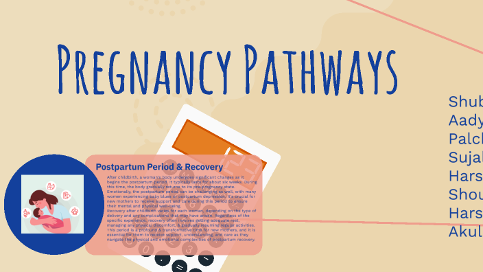 pregnancy pathways by Aadya Sengar on Prezi