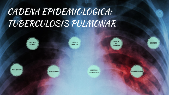 Tuberculosis pulmonar by Diana patricia Cortes garcia on Prezi