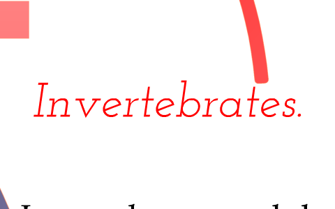 Invertebrates by Megan Clowes on Prezi