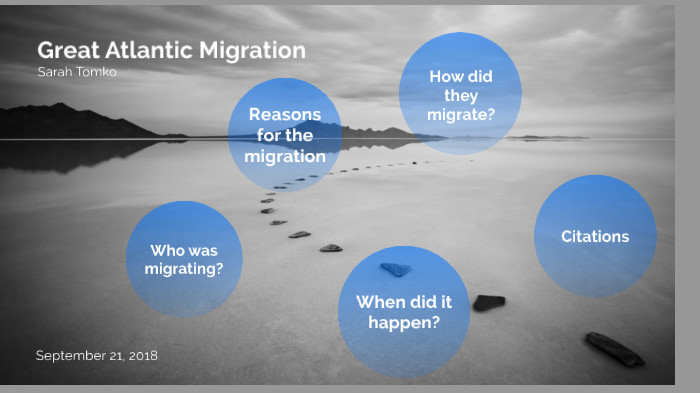 Great Atlantic Migration by Sarah Tomko on Prezi