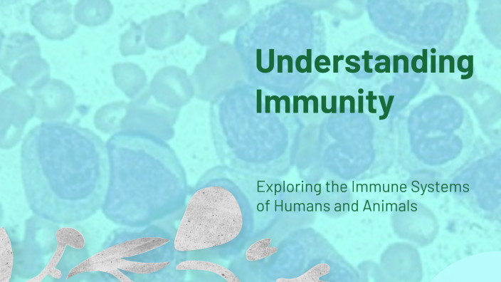 Understanding Immunity by ng thu on Prezi