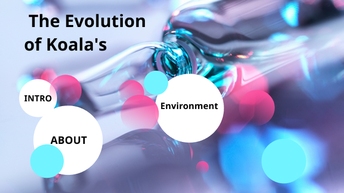 Evolution of Koala's by Makayla Moore - Sims on Prezi