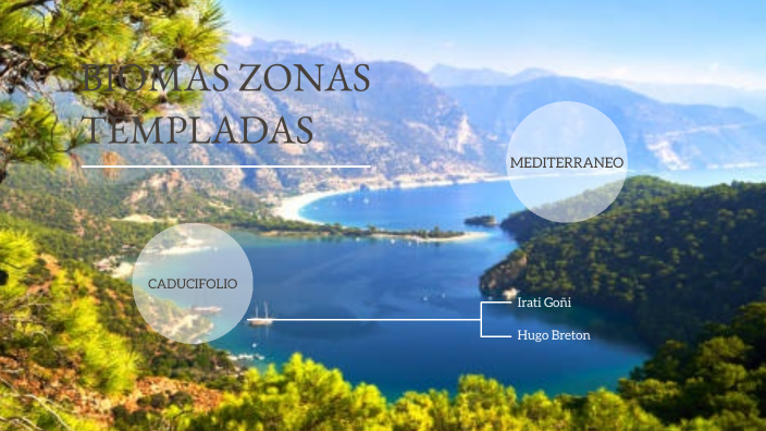 Biomas zonas templadas by Irati Goñi Sagasti on Prezi