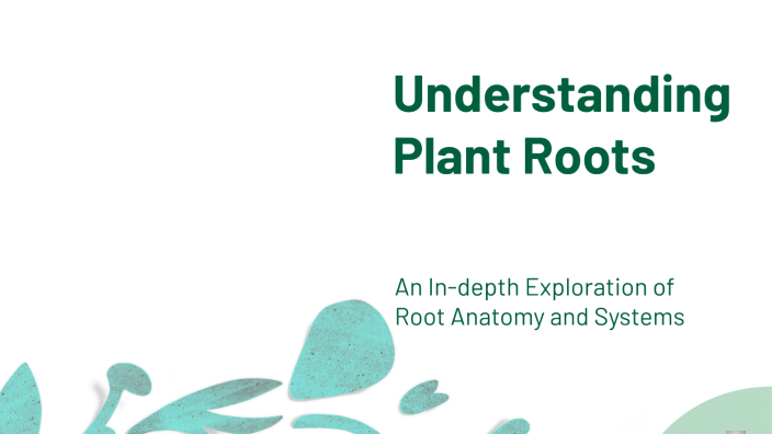 Understanding Plant Roots by Kamrin McGraw on Prezi