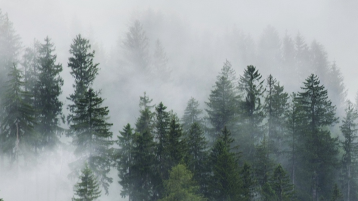 skibidi lore by Colton Collier on Prezi