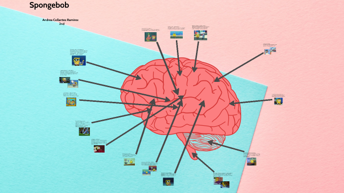 Celebrity Brain - Spongebob by Andrea Collantes Ramirez on Prezi