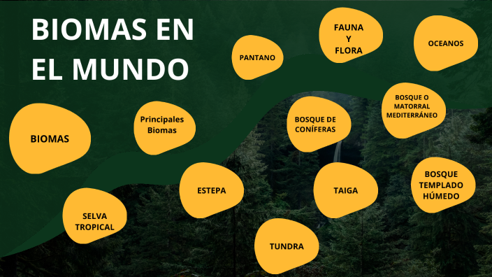 Biomas del mundo by Bryan Aldaz on Prezi
