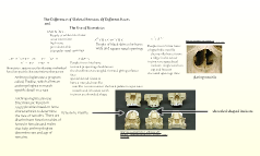 Difference of Skeletal Remains of Different Races by Kaitlin Nellessen ...