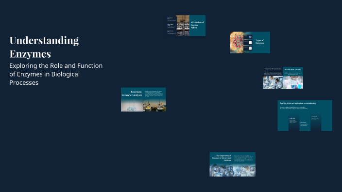 Understanding Enzymes by Zeynep sude Akın on Prezi