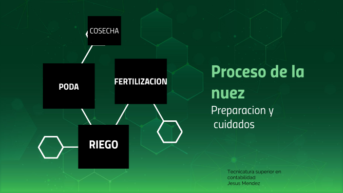 PROCESO DE LA NUEZ by jesu Mendez on Prezi