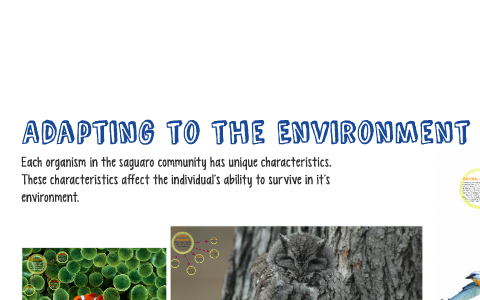 Adapting to the Environment by on Prezi