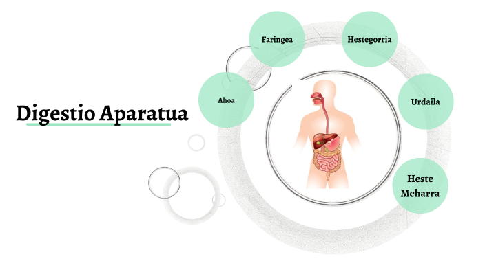 Digestio Aparatua by Asier Gil on Prezi