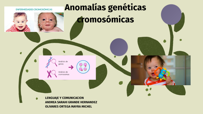 Anomcdías genéticas cromosómicas by ANDREA SARAHI GRANDE HERNANDEZ on Prezi