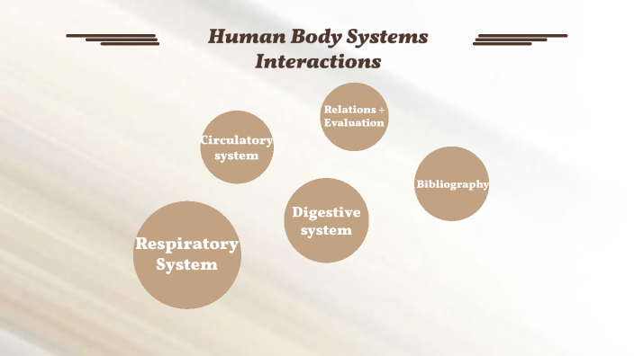 Human Body Systems Interactions by Hajer AlBlooshi on Prezi