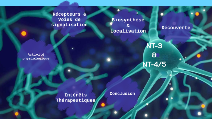 Neurotrophin by Jade SENECHAL on Prezi